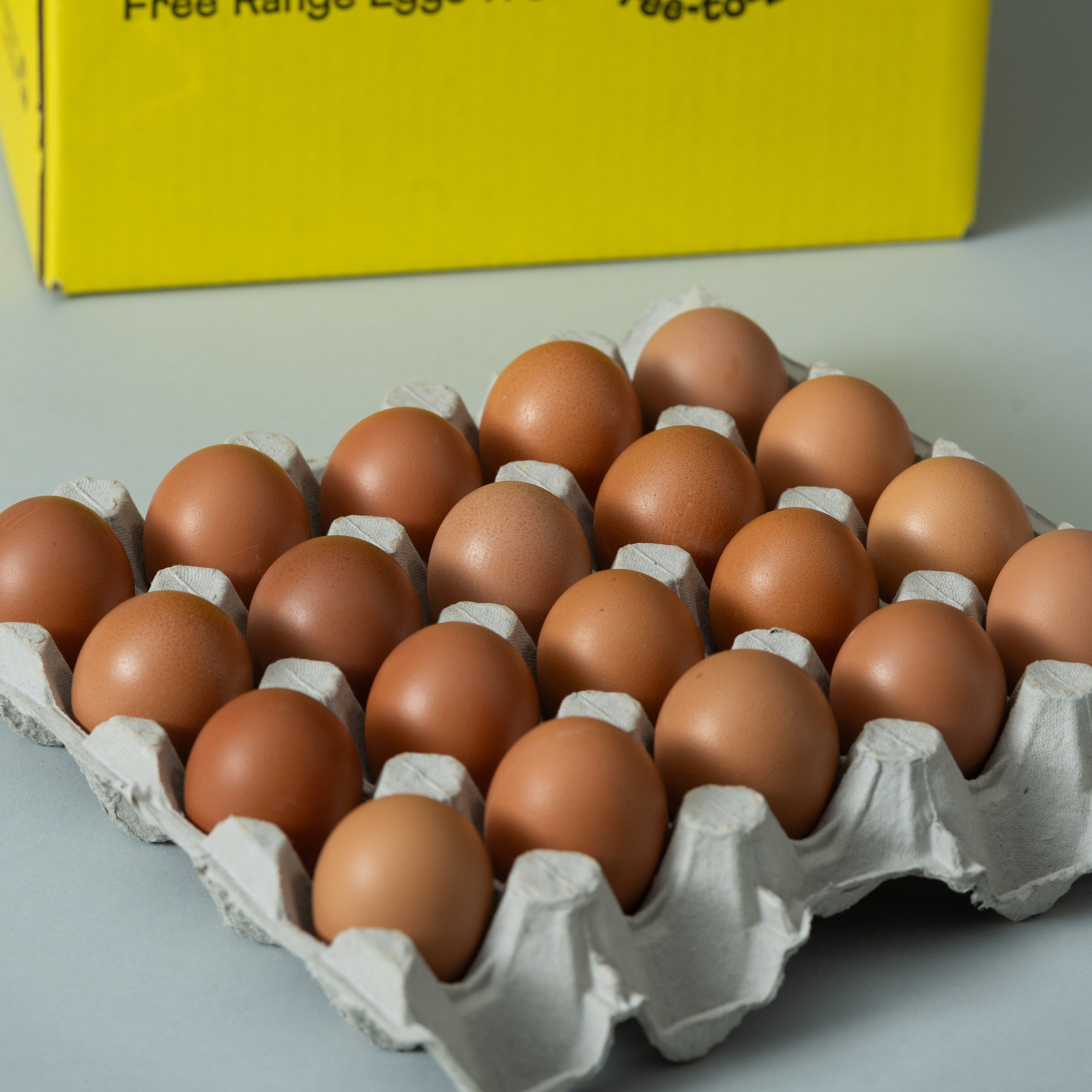 20 Tray Free Range Eggs (Mixed Grade) – eg.